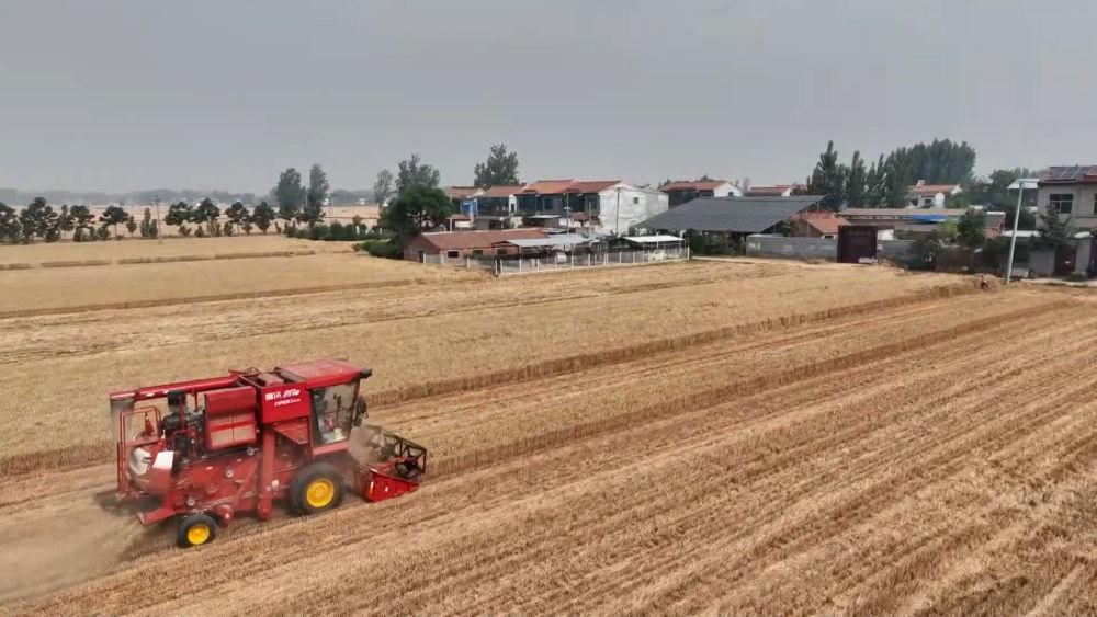 新华全媒＋丨“中原粮仓”河南麦收过半 多举措助力“三夏”生产-水母网