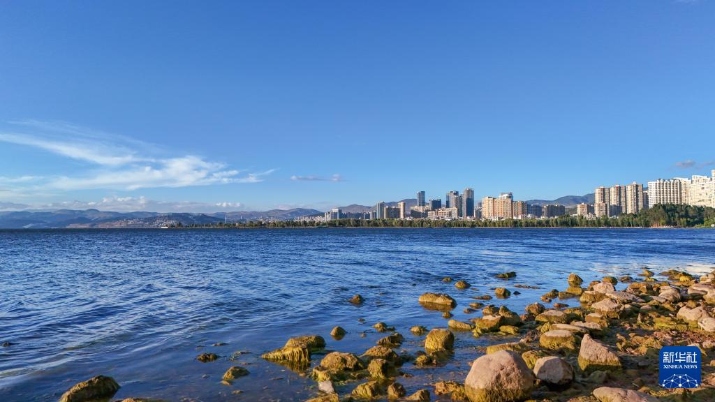 美丽中国丨邂逅洱海的夏日时光 -水母网