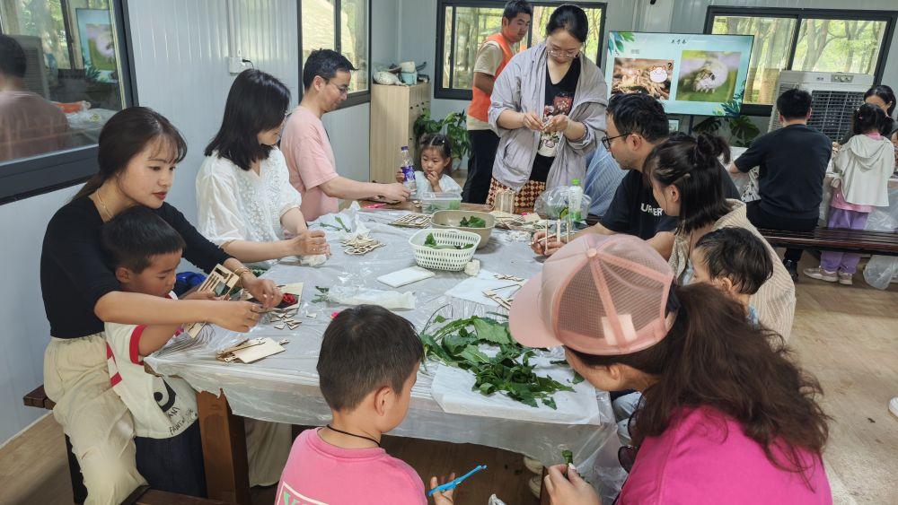 观鸟、农事、科创营 亲子体验“新”潮澎湃-水母网