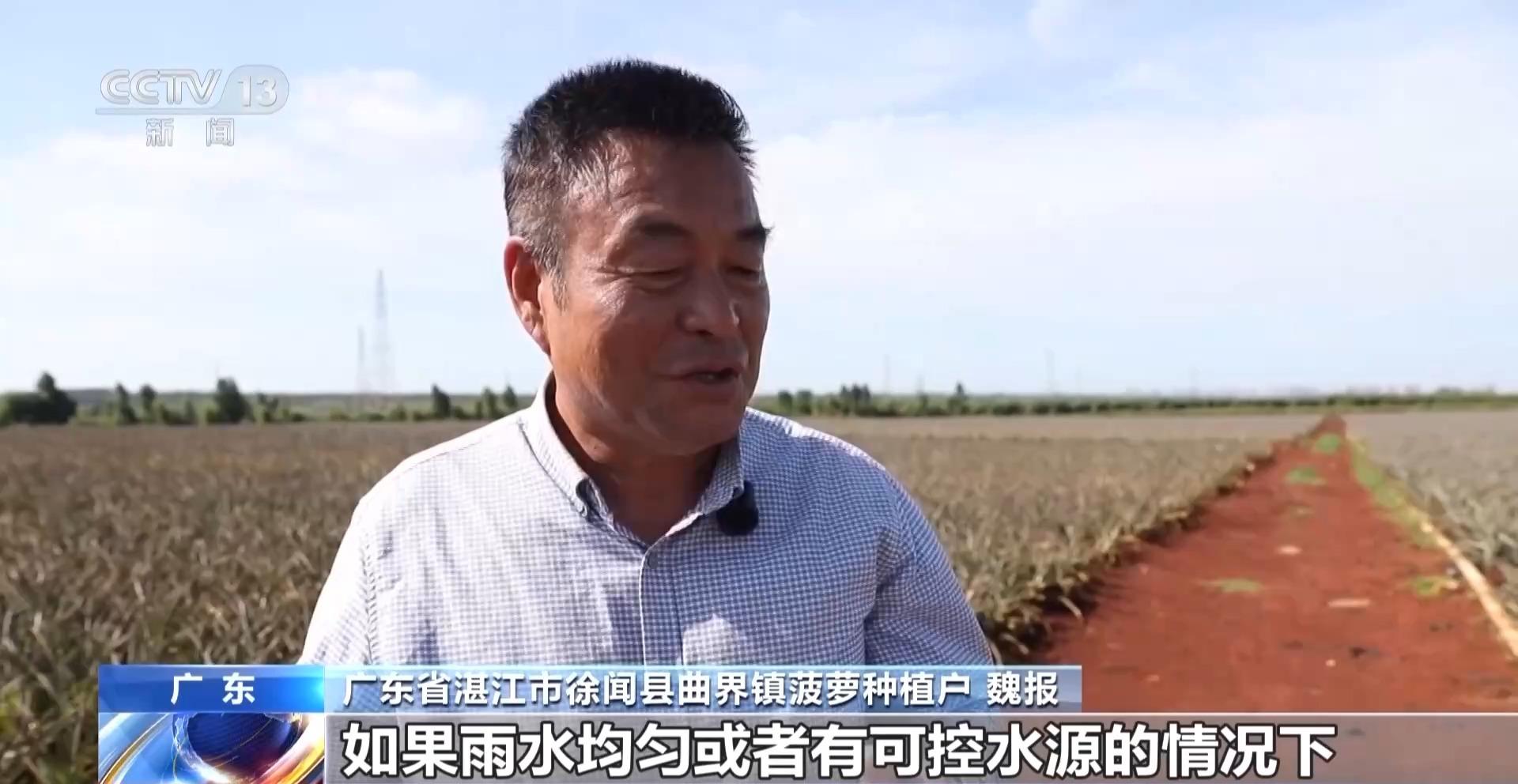 六网织就新未来丨守护“菠萝的海” 源头活水打开产业新版图-水母网